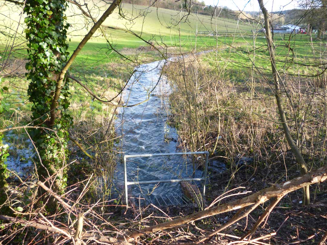 A Celebration of the Bourne. Introduction – The Bourne Society